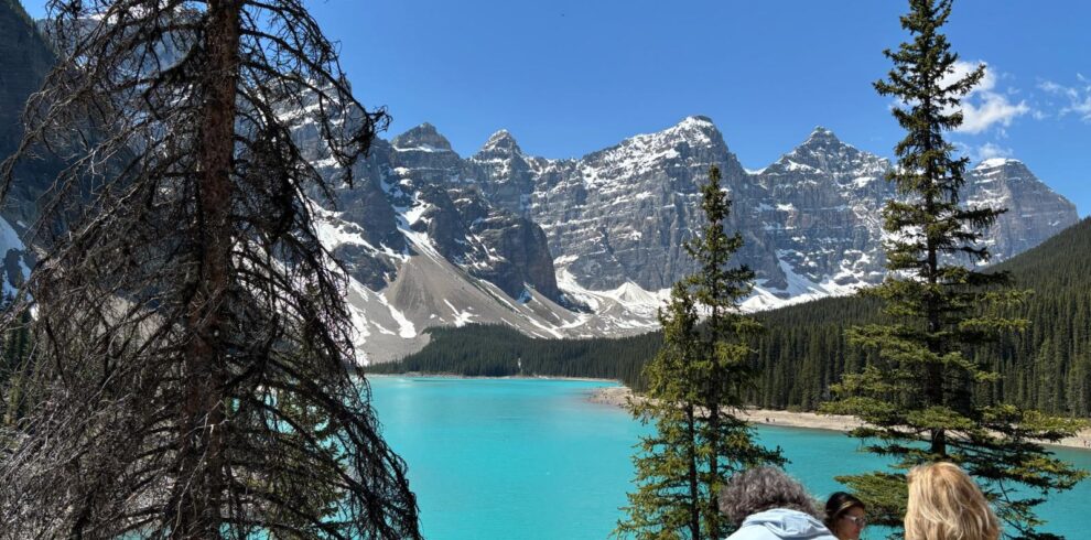 Grizzly Banff Tours | Small Group Tours in Banff, AB